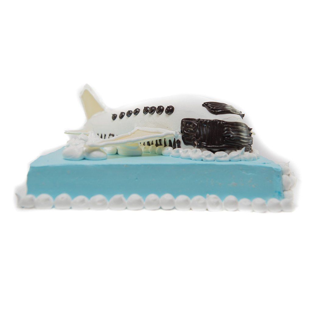 Buy Fly in The Sky - Aeroplane cake| Online Cake Delivery - CakeBee