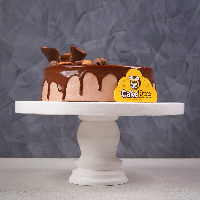Buy Swiss Chocolate Cake| Online Cake Delivery - CakeBee